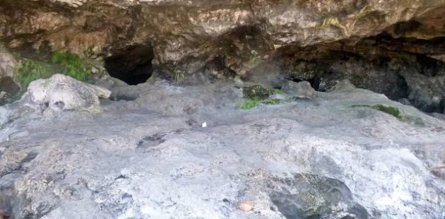 To the Bat Cave! - Baltimore Post-ExaminerBaltimore Post-Examiner