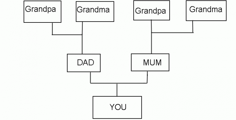 Family_tree - Baltimore Post-Examiner