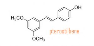Pterostilbene: is it better than red wine for good health?